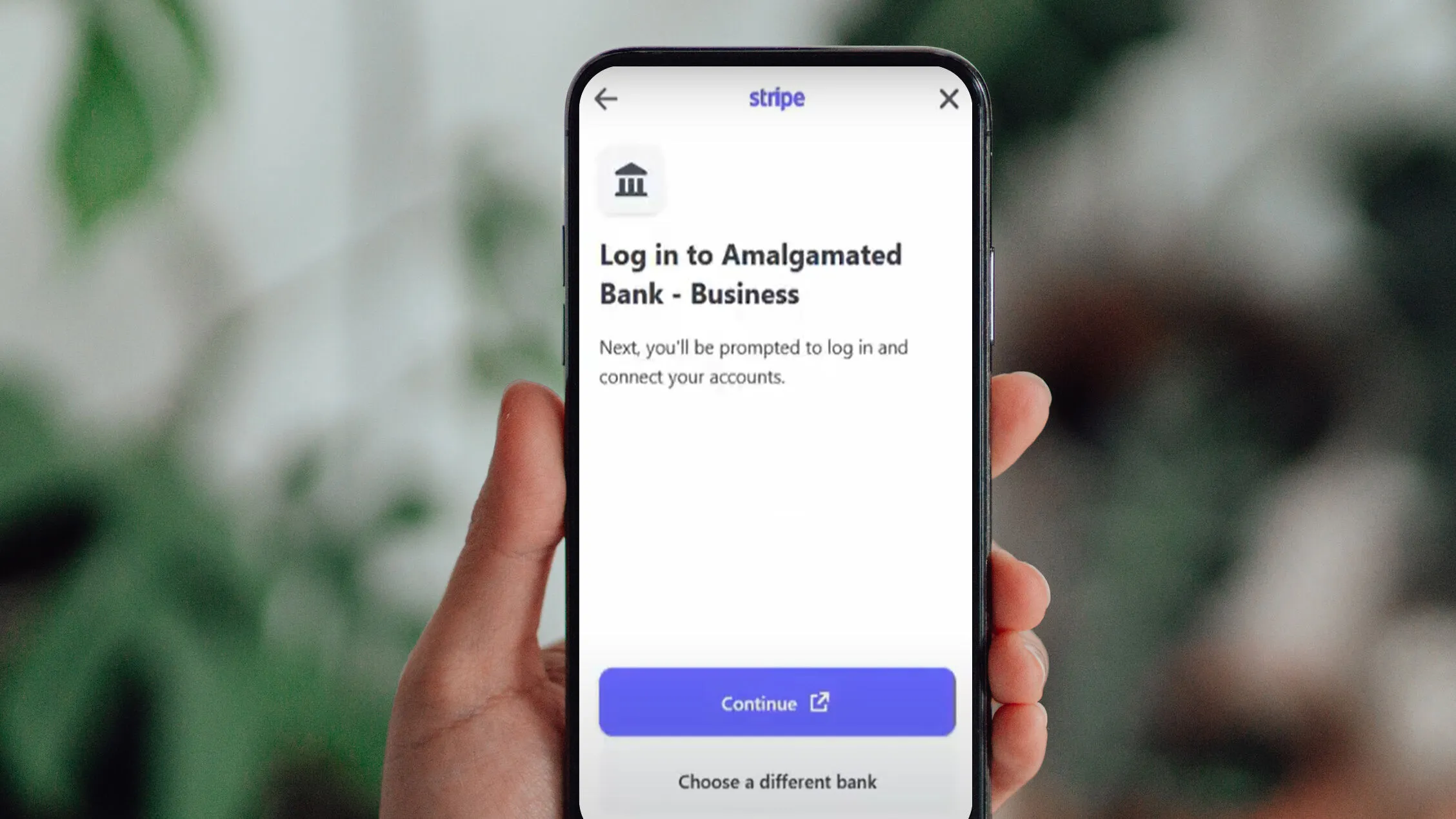 Open Access | Amalgamated Bank